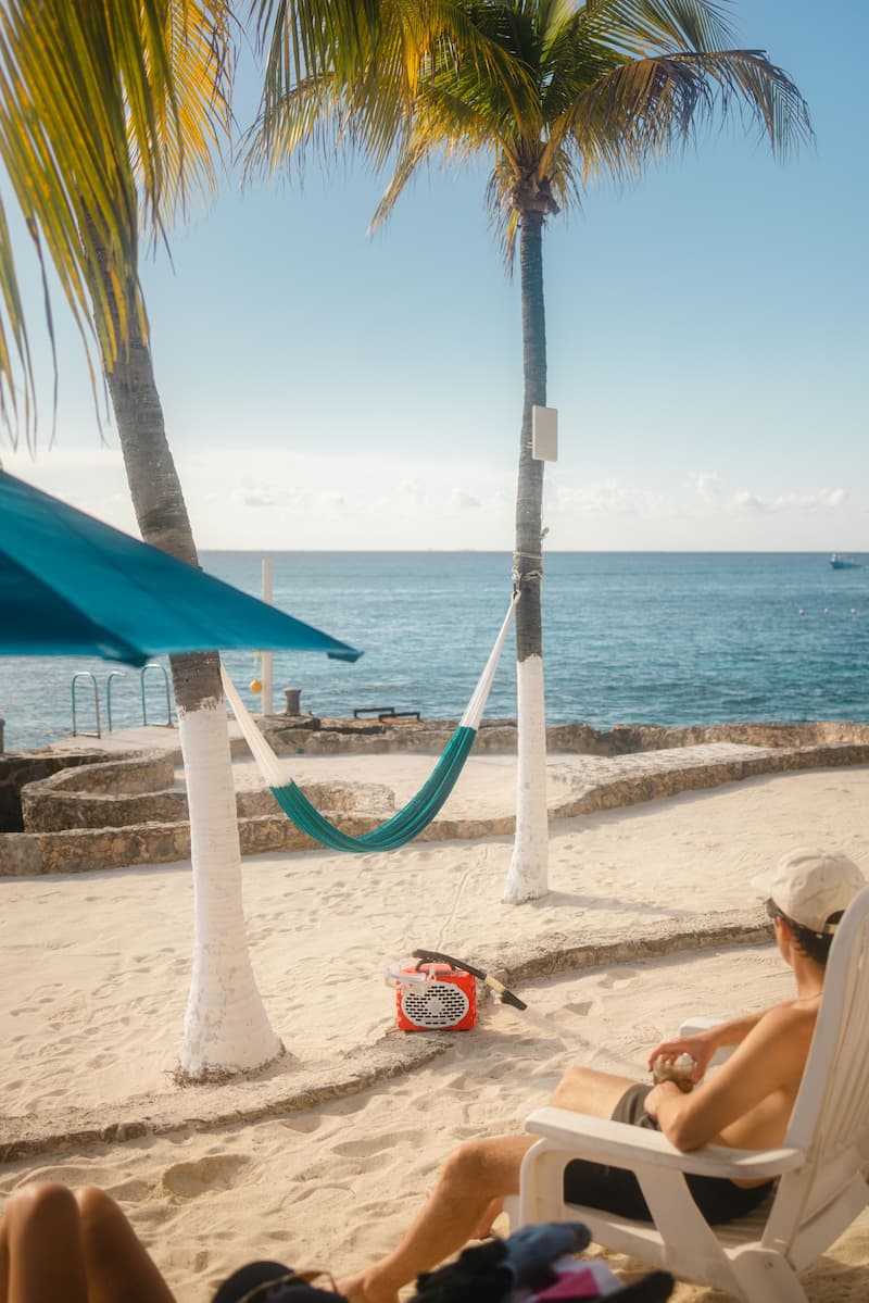 Spring Solstice – TURTLEBOX