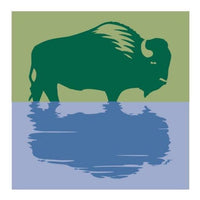 Conservation Partners – TURTLEBOX