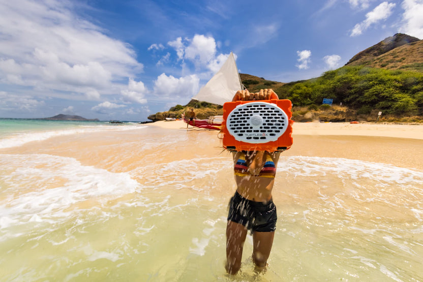 Gift Guide – TURTLEBOX